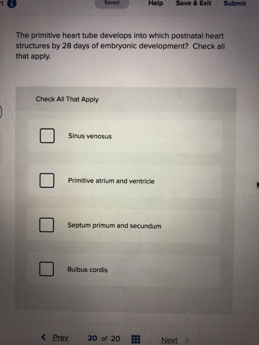 Solved Saved Help Save & Exit Submit The primitive heart | Chegg.com