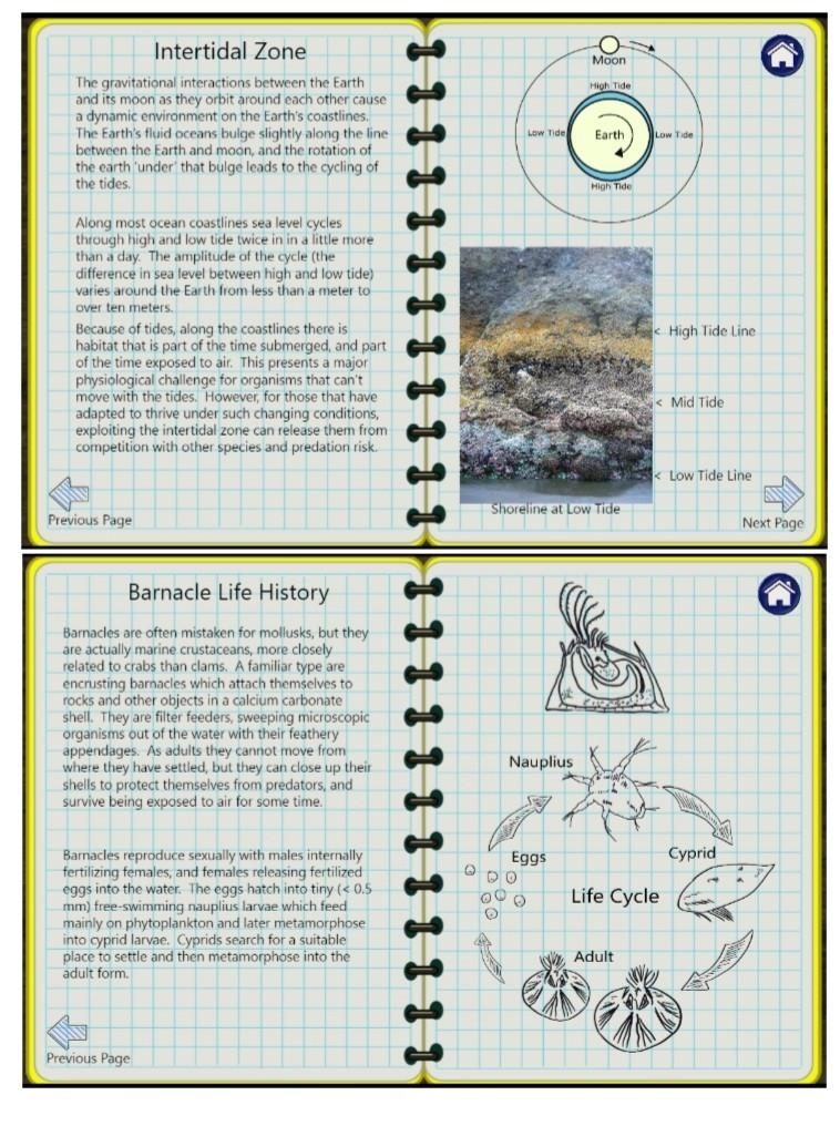 Solved Overview Summary This activity is an inquiry-based | Chegg.com