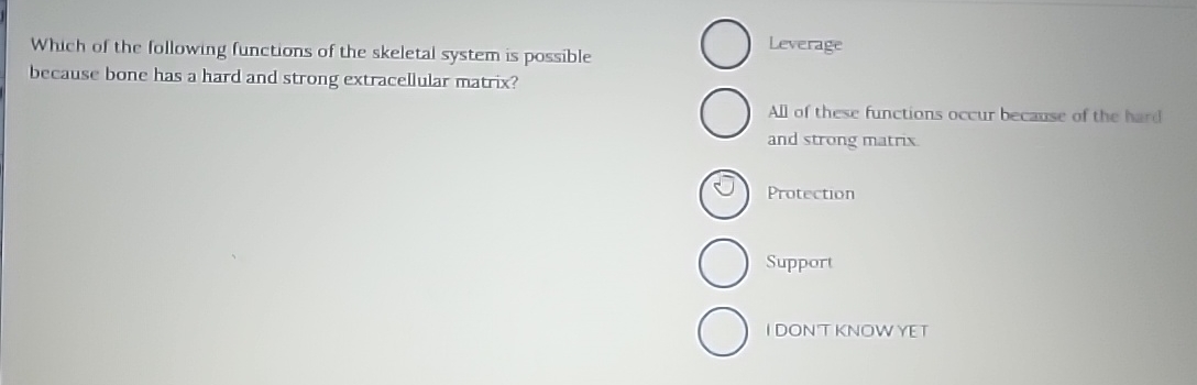 Solved Which of the following functions of the skeletal | Chegg.com