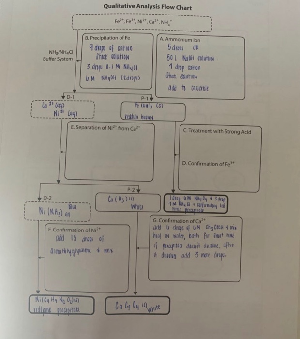 Solved Qualitative Analysis Flow Chart Fe, Fel”, N2, a*, NH, | Chegg.com
