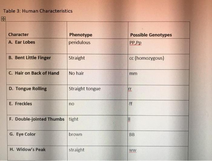Solved Table 3: Human Characteristics Character A. Ear Lobes | Chegg.com
