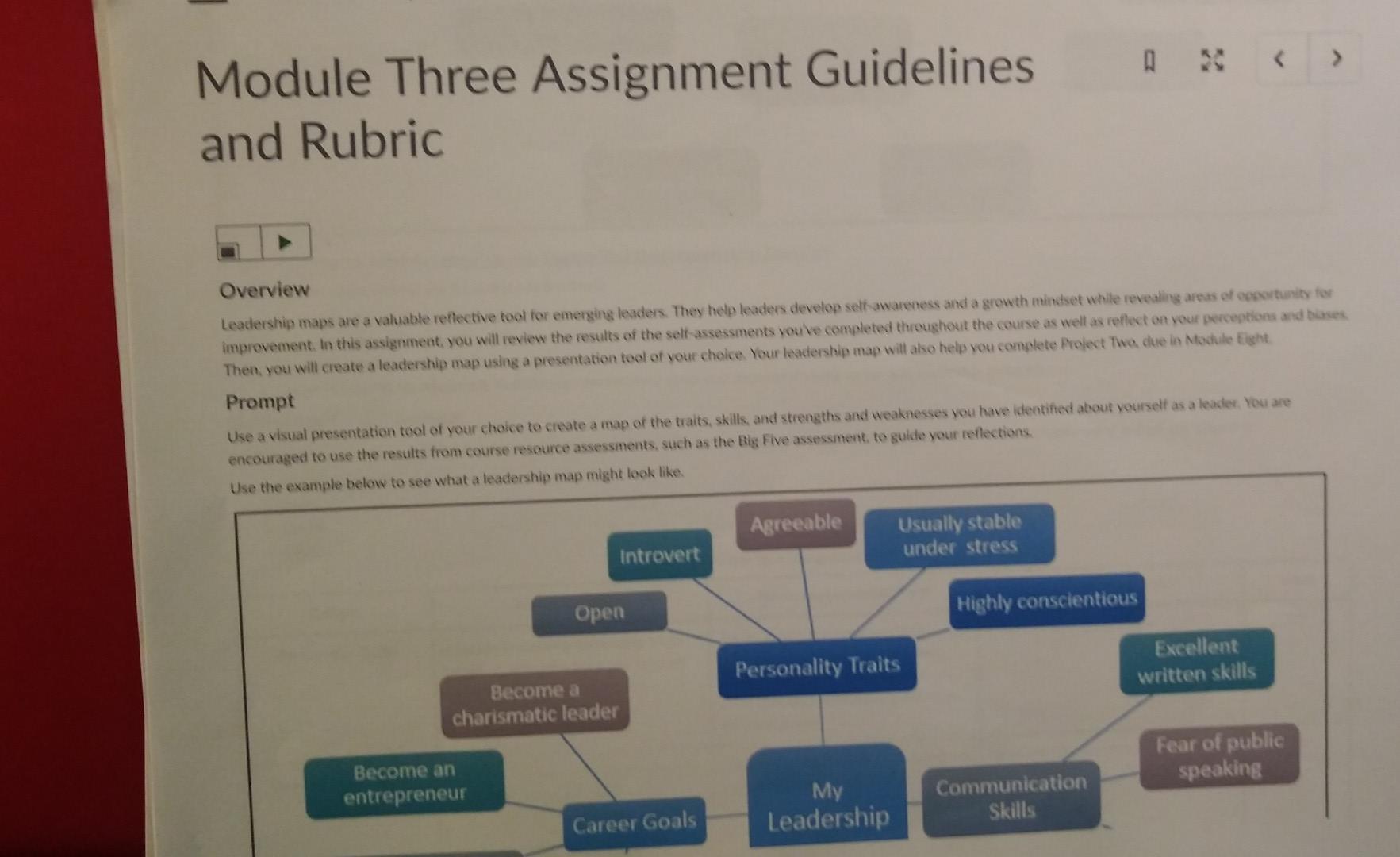 Module Three Assignment Guidelines and Rubric | Chegg.com