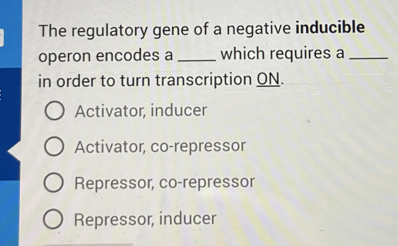 Solved The regulatory gene of a negative inducible operon | Chegg.com