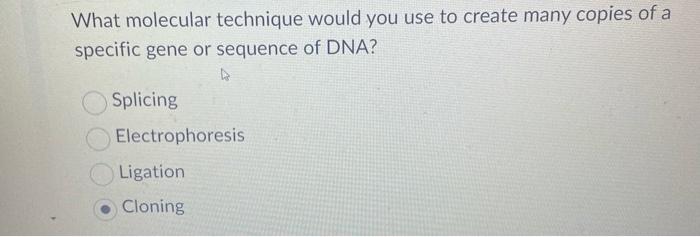 Solved What molecular technique would you use to create many | Chegg.com