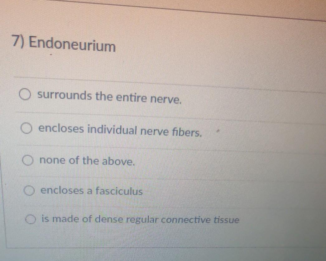 Solved 7) Endoneurium O surrounds the entire nerve. O | Chegg.com