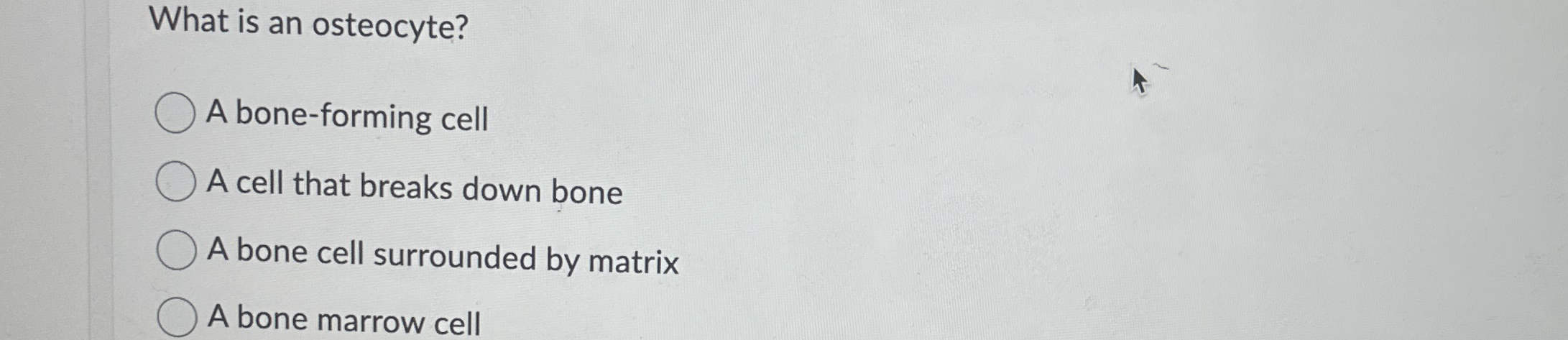 Solved What is an osteocyte?A bone-forming cellA cell that | Chegg.com