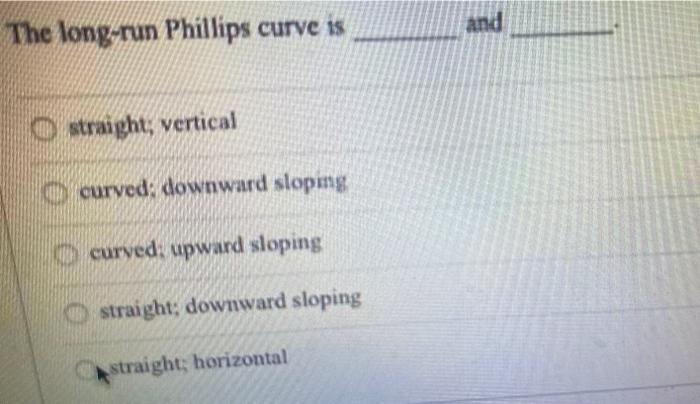 Solved and The long-run Phillips curve is straight; vertical | Chegg.com