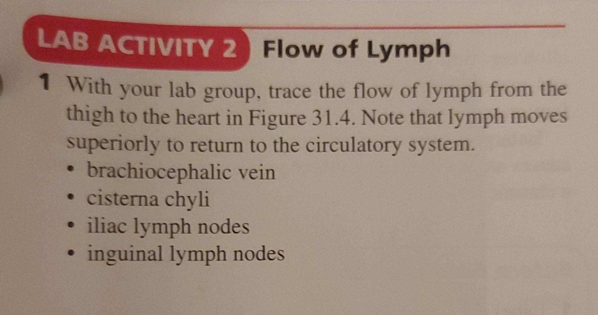 Solved ACTIVITY 2 Flow of Lymph 1 With your lab group, trace | Chegg.com
