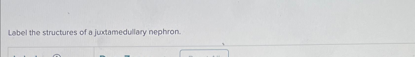 Solved Label the structures of a juxtamedullary nephron. | Chegg.com