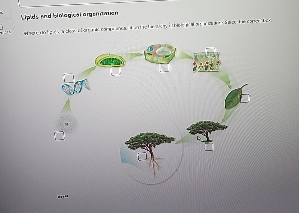 Solved Lipids and biological organizationWhere do lipids, a | Chegg.com