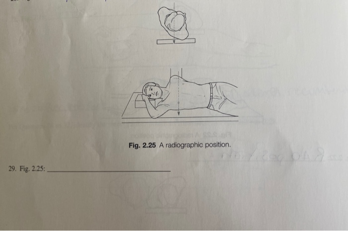 Solved 5. Identify each lettered structure shown in Fig. | Chegg.com