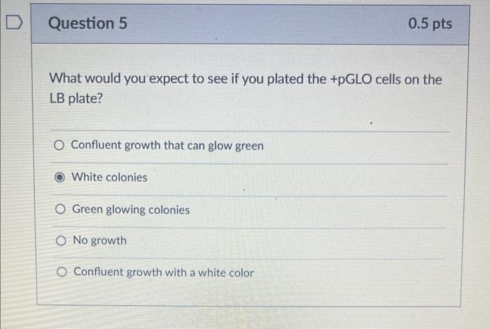 Solved What would you expect to see if you plated the +pGLO | Chegg.com