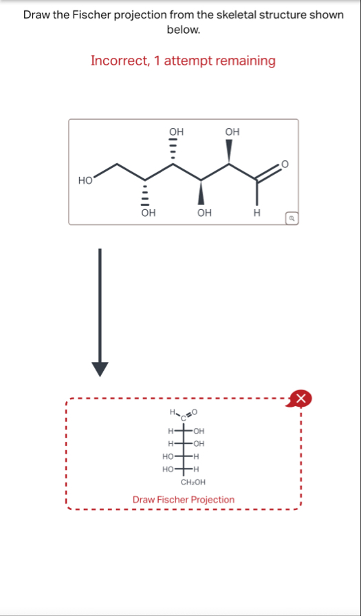 Solved Draw the Fischer projection from the skeletal | Chegg.com