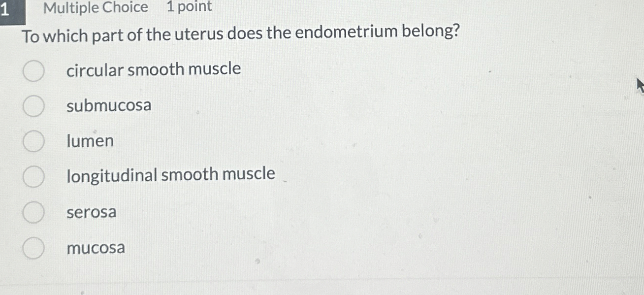 Solved 1 ﻿Multiple Choice 1 ﻿pointTo which part of the | Chegg.com