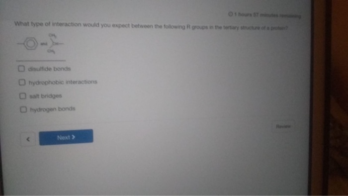 Solved What type of interaction would you expect between the | Chegg.com