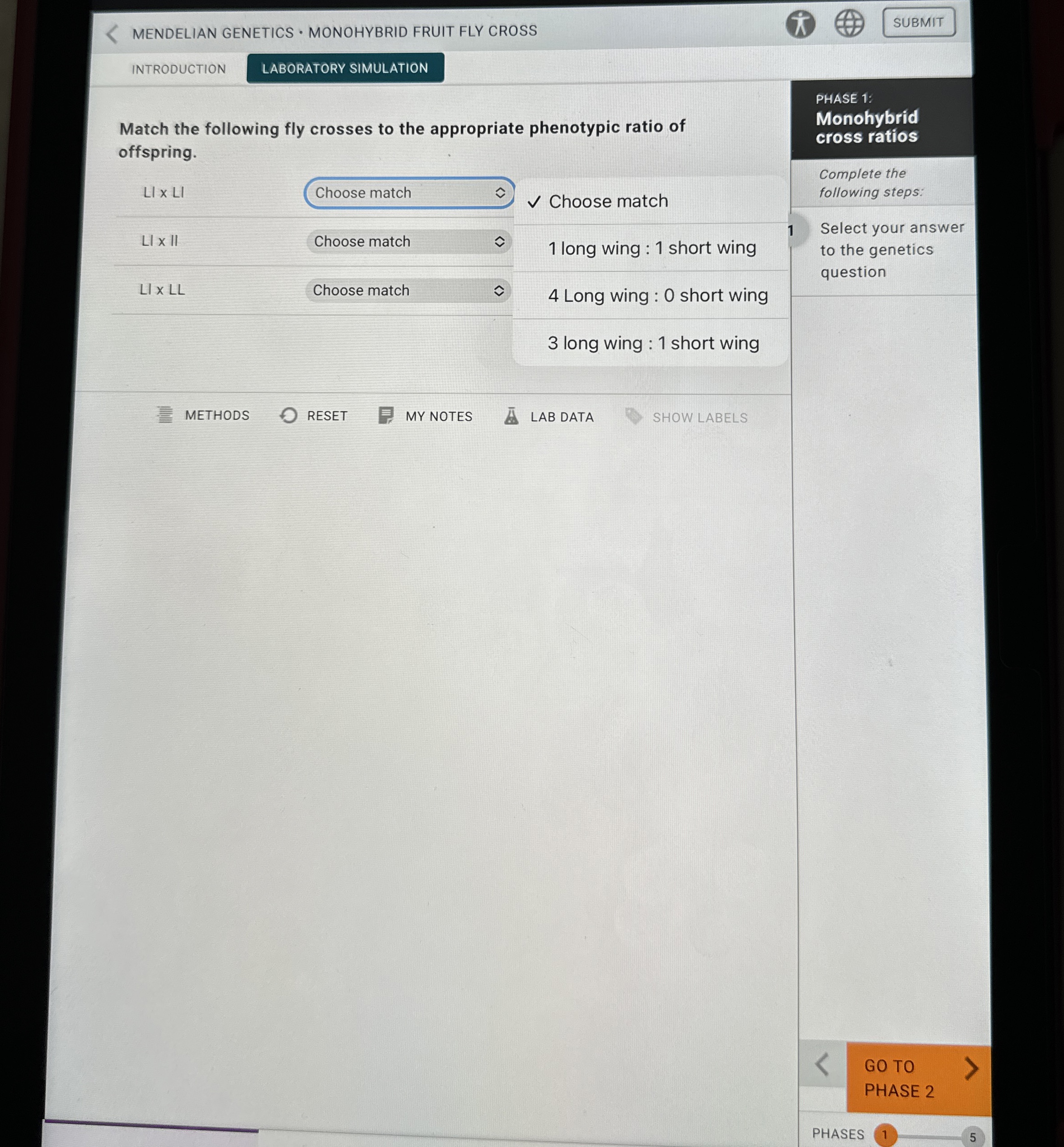 Solved MENDELIAN GENETICS - ﻿MONOHYBRID FRUIT FLY | Chegg.com