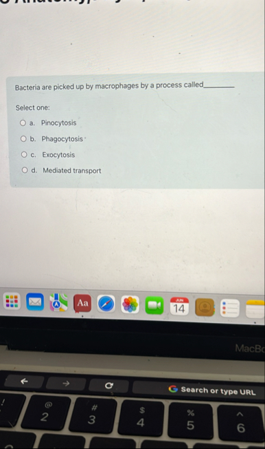 Solved Bacteria are picked up by macrophages by a process | Chegg.com