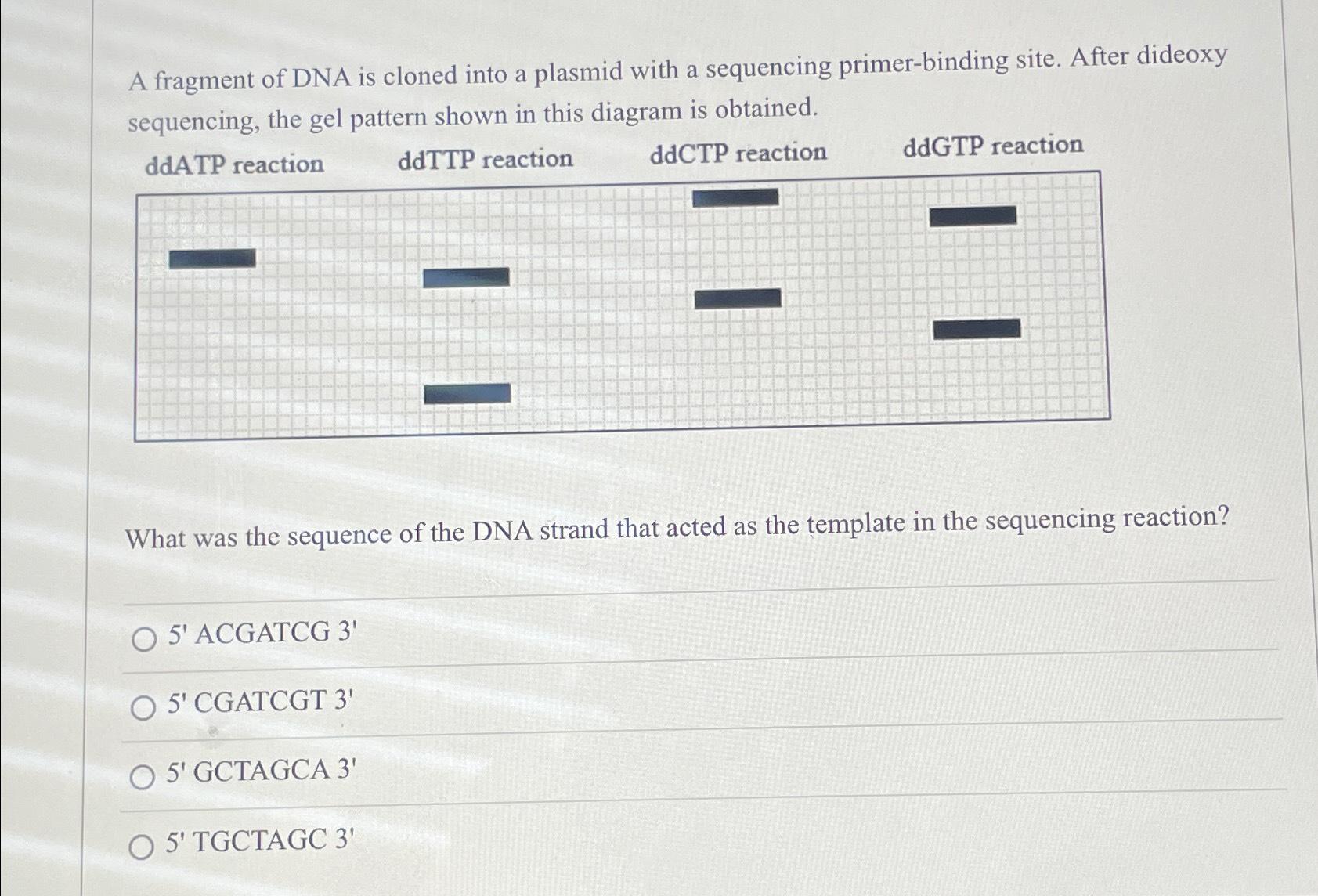 Solved A fragment of DNA is cloned into a plasmid with a | Chegg.com