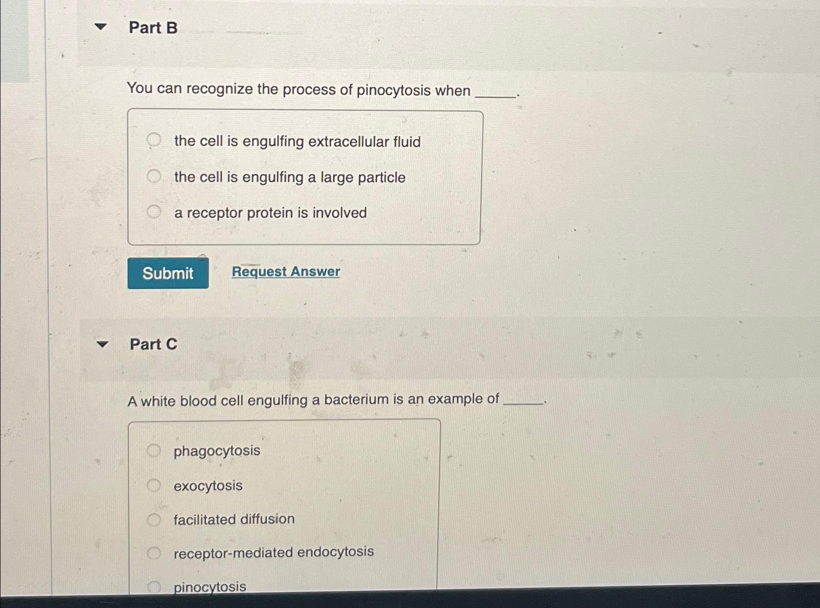 Solved Part BYou can recognize the process of pinocytosis | Chegg.com