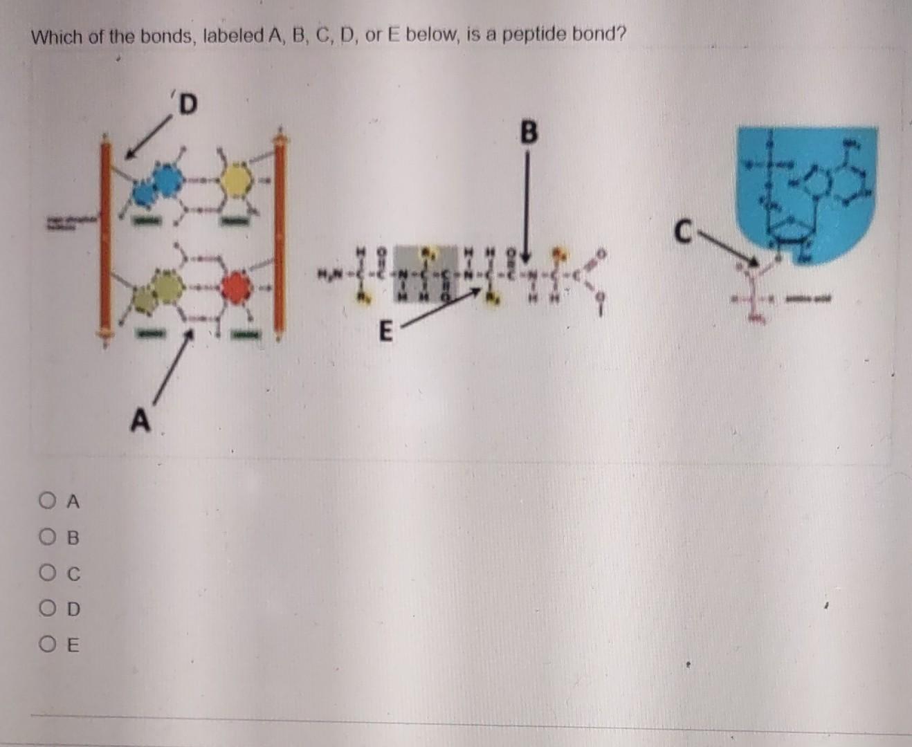 Which of the bonds, labeled A,B,C,D, or E below, is a | Chegg.com