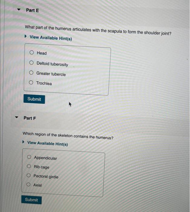 Solved Which of the following landmarks found on the | Chegg.com