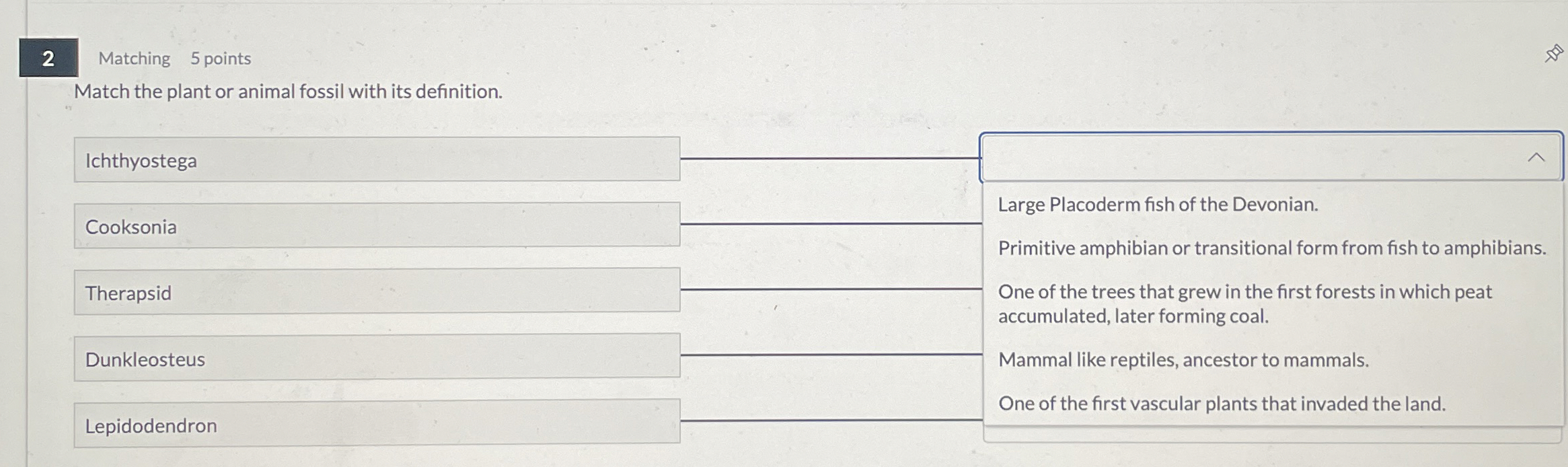 Solved 2Matching5 ﻿pointsMatch the plant or animal fossil | Chegg.com