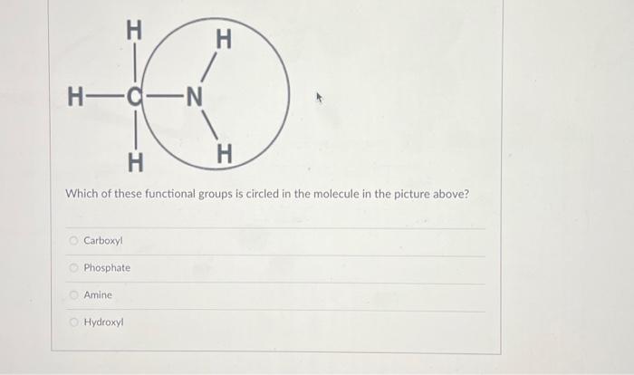 Solved Which of these functional groups is circled in the | Chegg.com