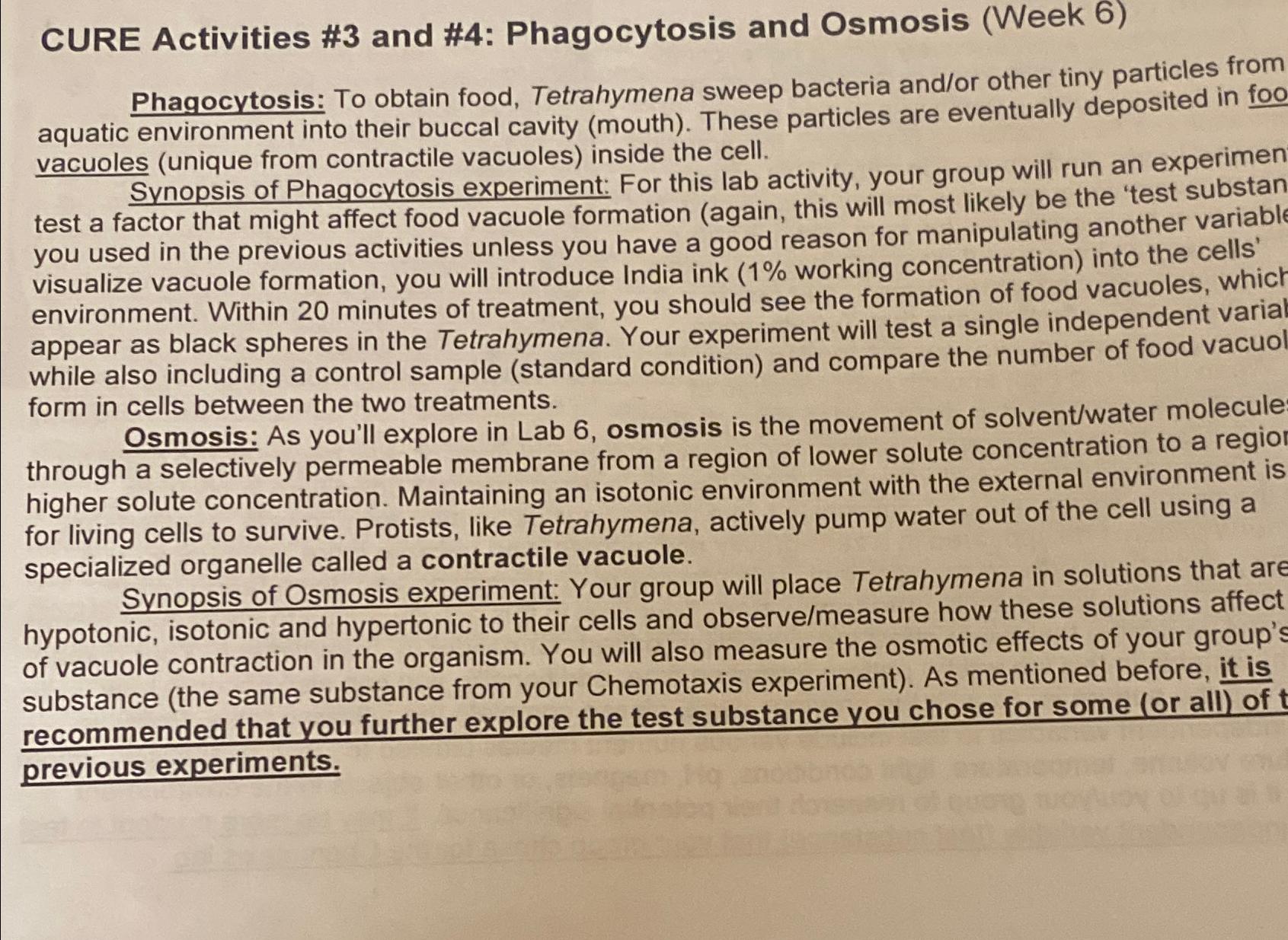 Solved CURE Activities #3 ﻿and #4: Phagocytosis and Osmosis | Chegg.com