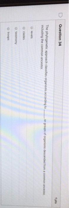 Solved Question 37 1 pts If a primate has stereoscopic | Chegg.com