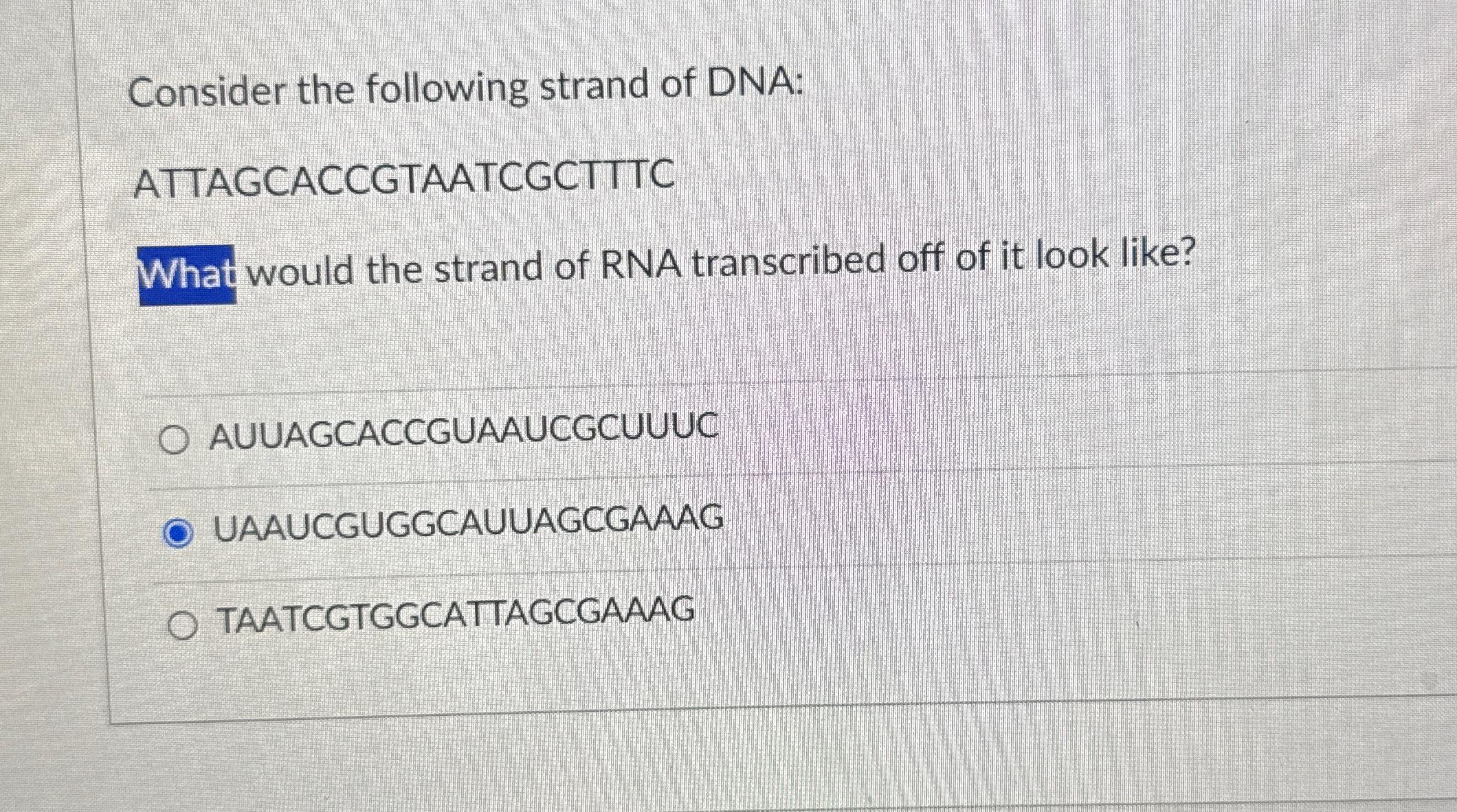 Solved Consider the following strand of | Chegg.com
