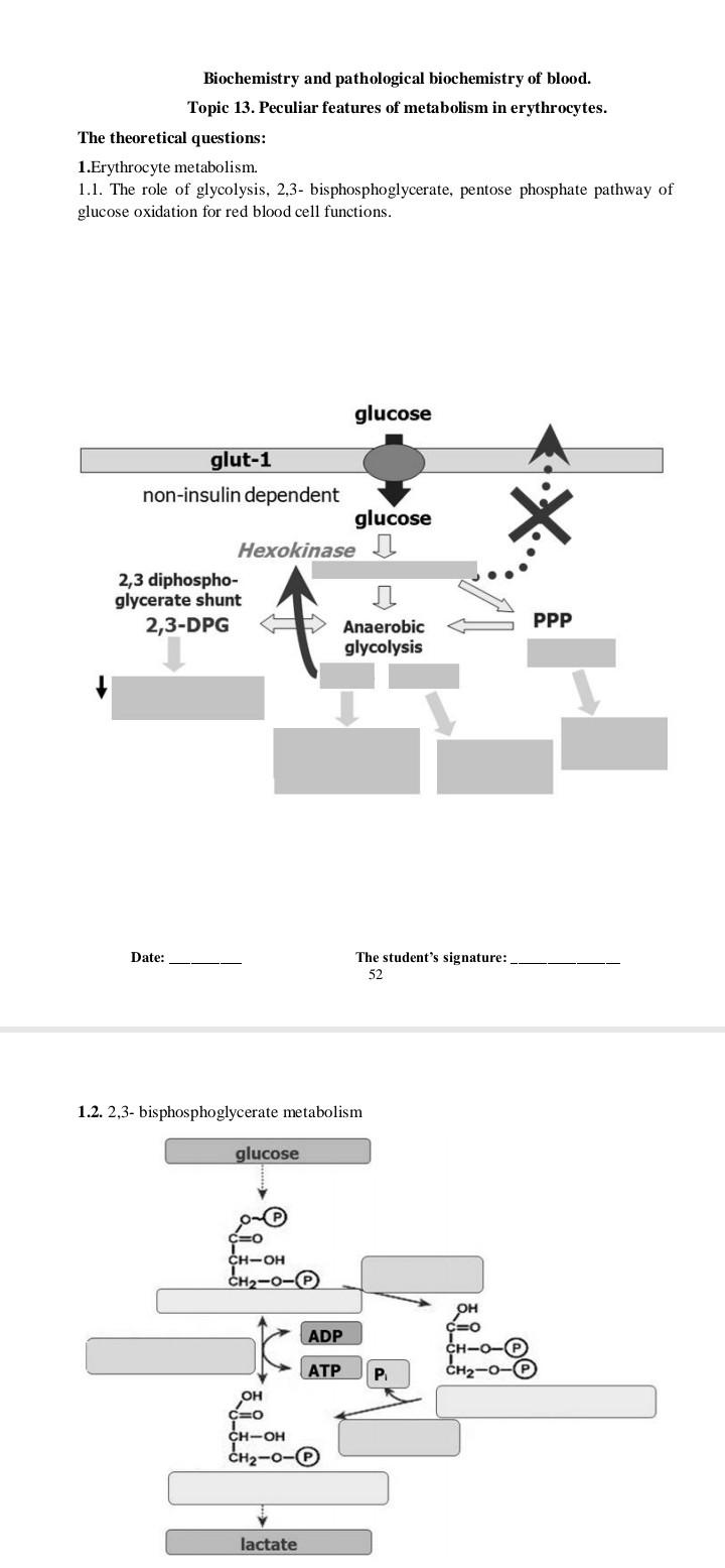 Solved Biochemistry and pathological biochemistry of blood. | Chegg.com
