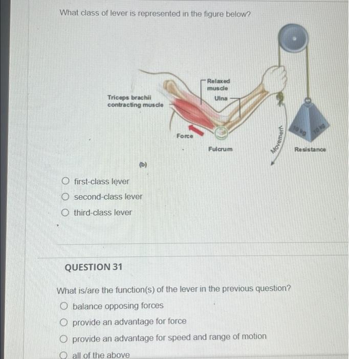 Solved What class of lever is represented in the figure | Chegg.com