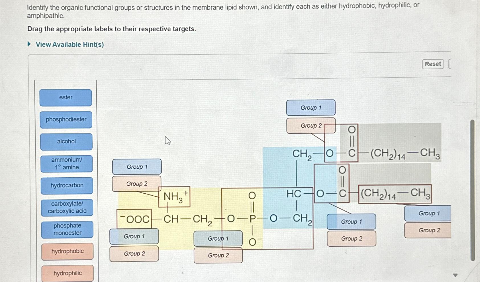 Solved Identify the organic functional groups or structures | Chegg.com