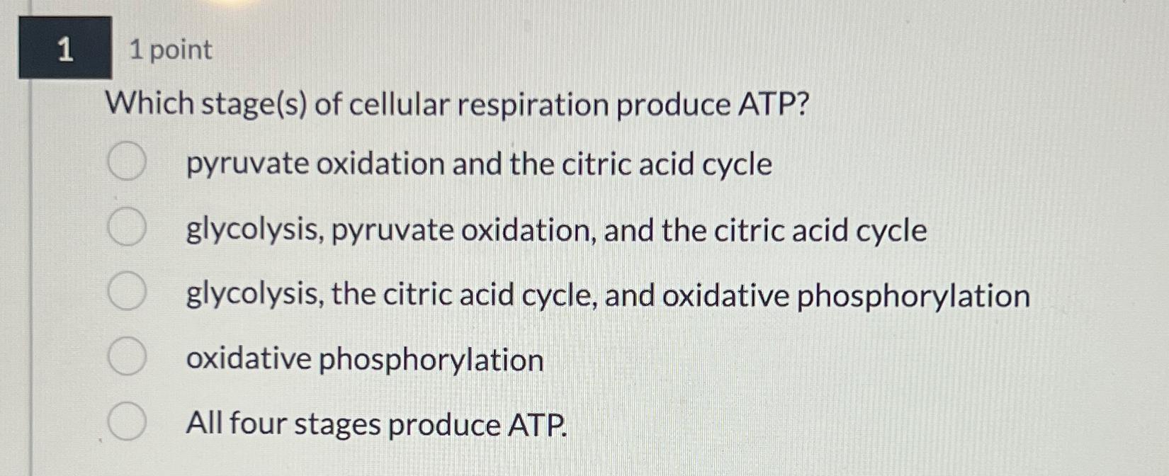 Solved 11 ﻿pointWhich stage(s) ﻿of cellular respiration | Chegg.com