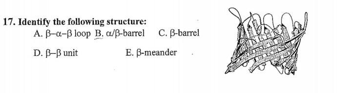 Solved 17. Identify the following structure: A. β−α−β loop | Chegg.com