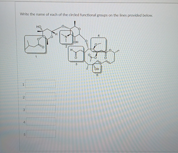 Solved Write the name of each of the circled functional | Chegg.com