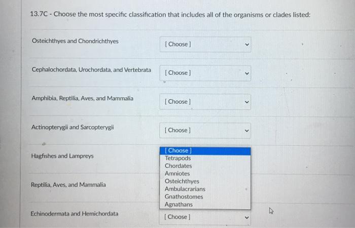 Solved 13.7C - Choose the most specific classification that | Chegg.com