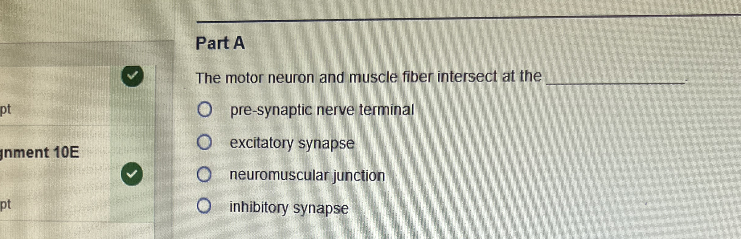 Solved Part AThe motor neuron and muscle fiber intersect at | Chegg.com