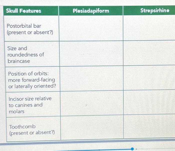 Skull Features Postorbital bar (present or absent?) | Chegg.com