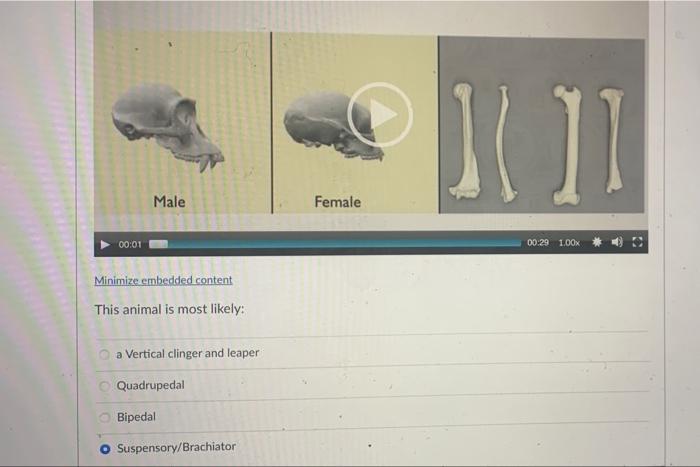 Solved 301 Male Female 00:01 00:29 1.00x Minimize embedded | Chegg.com