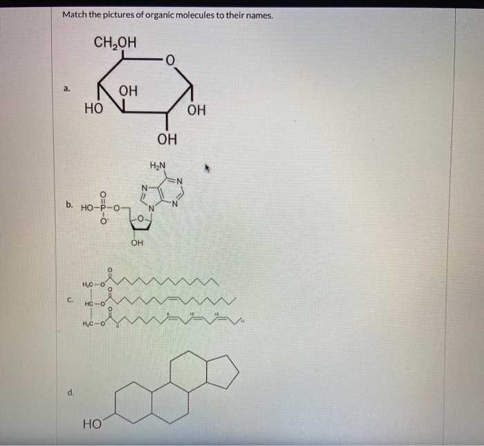 Solved Match the picture of organic molecules to their name. | Chegg.com