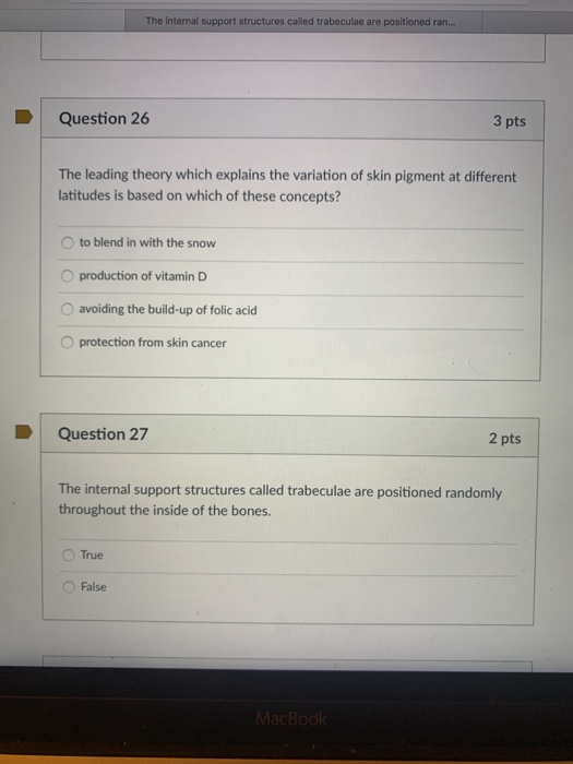 Solved The internal support structures called trabeculae are | Chegg.com