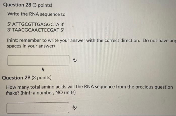 Solved Question 28 (3 points) Write the RNA sequence to: | Chegg.com