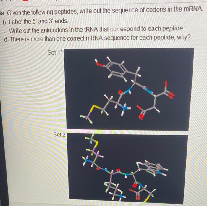 Sa. Given the following peptides, write out the | Chegg.com
