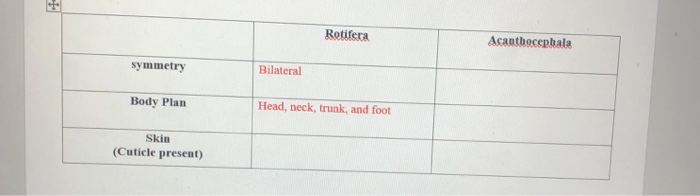 Solved Rotifera Acanthocephala symmetry Bilateral Body Plan | Chegg.com