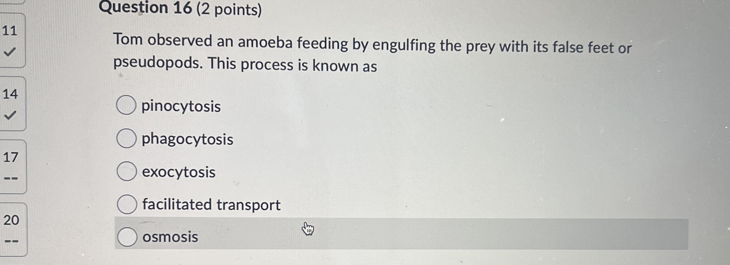 Solved Question 16 (2 ﻿points)Tom observed an amoeba feeding | Chegg.com