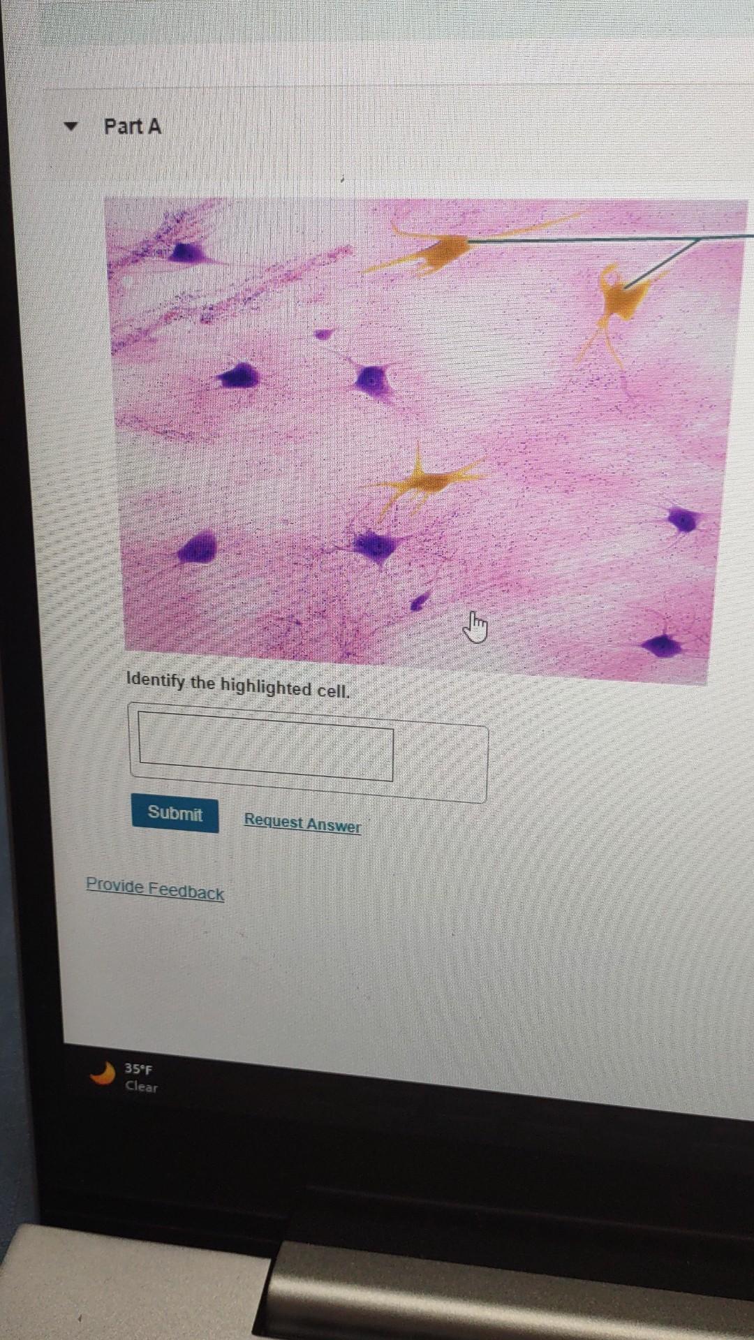 Solved suenury the highlighted cell. | Chegg.com