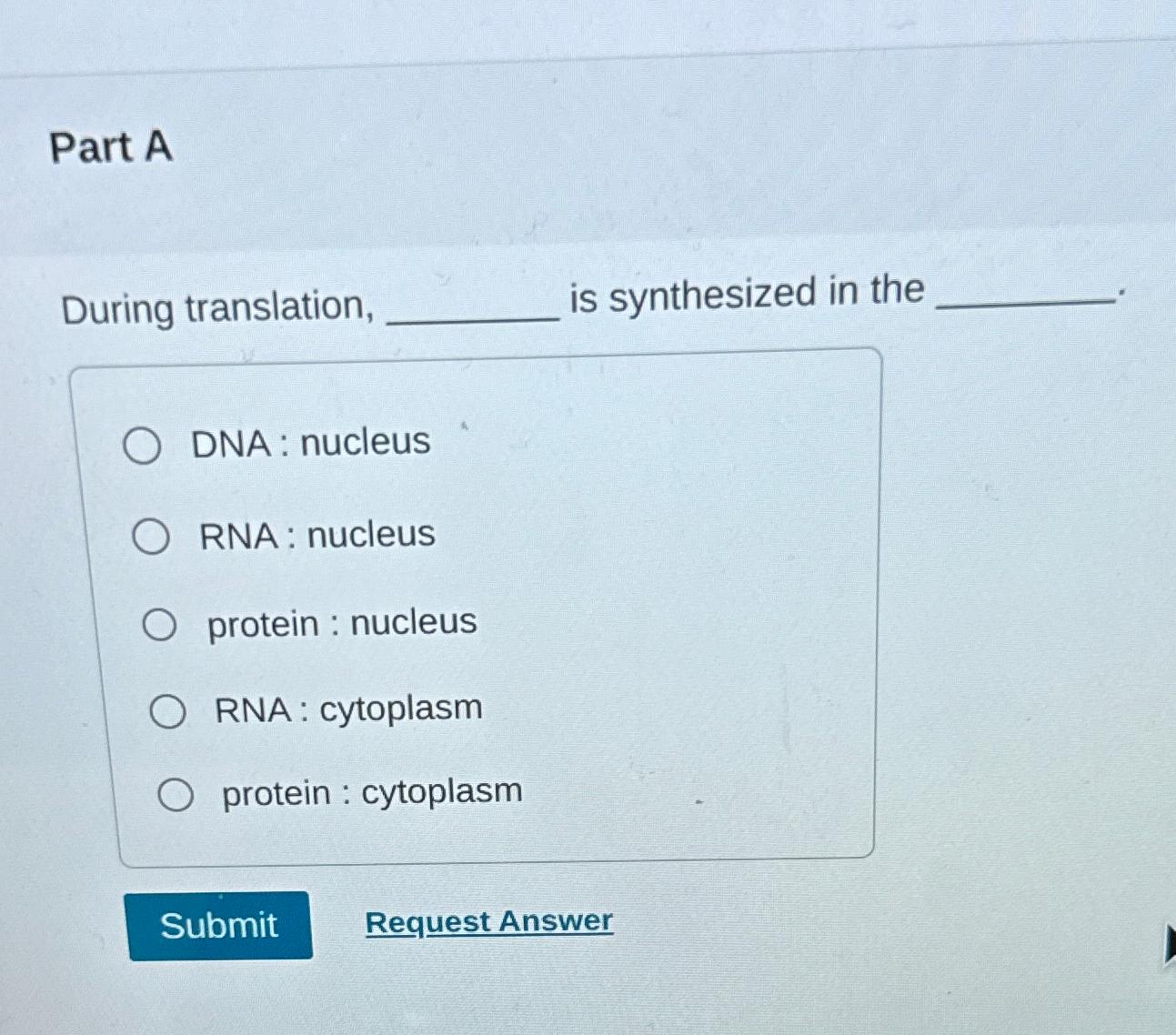 Solved Part ADuring translation, is synthesized in theDNA : | Chegg.com