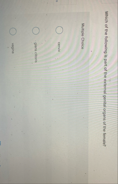 Which of the following is part of the external | Chegg.com