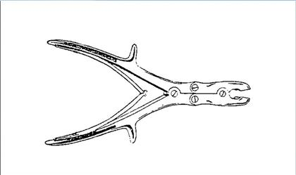 The figure below is a Rongeur, which is used by | Chegg.com